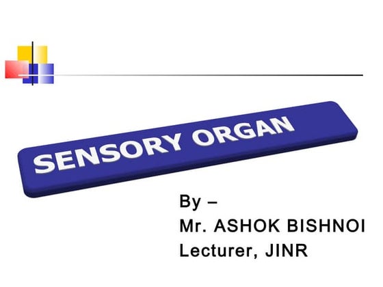 SENSE ORGANS | PPT