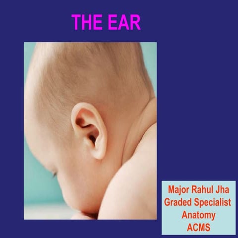Ear | PPT