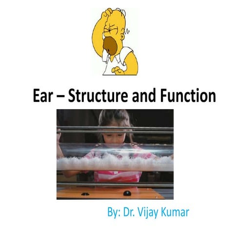 ear anatomy, structures, functions | PDF