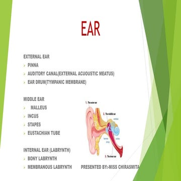 EAR.pptx
