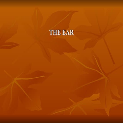 CONCISE ANATOMY OF THE HUMAN EAR FOR GRADUATE STUDENTS | PPT