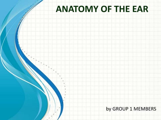 Anatomy and physiology of ENT | PPTX | Ear, Nose and Throat Conditions | Diseases and Conditions