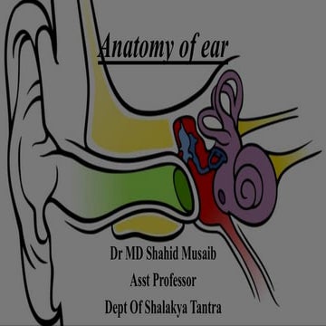 Anatomy and physiology of ENT organs | PPT
