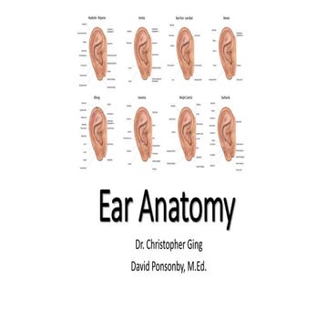 Ear Anatomy power point presentation and trigeminocervical nucleus ...