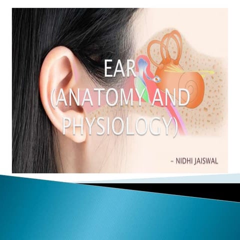 EAR ANATOMY AND PHYSIOLOGY.pptx put your ear down next to your soul and listen hard. | PPT