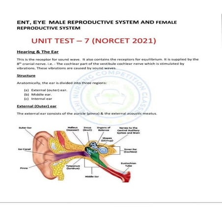 Ear Anatomy And Physiology Pdf Jitendra Bhargav Slideshare Pdf