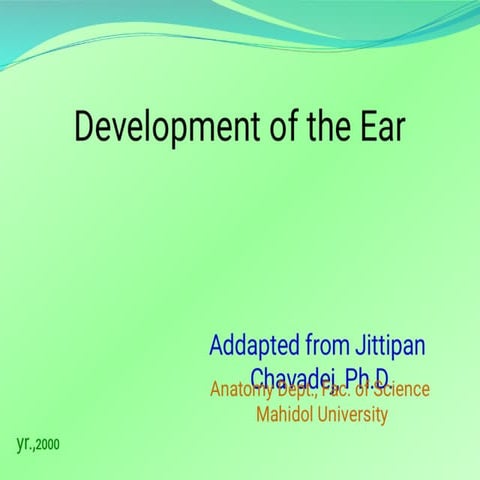 Ear development.pdf embryology of the human ear | PDF