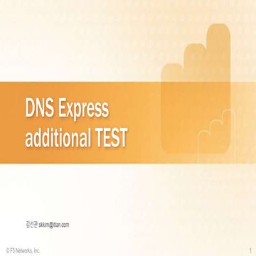 DNS Express | PPTX