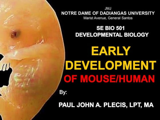Development of chick | PDF