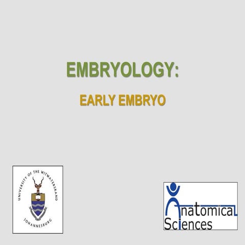 EARLY EMBRYOGENESIS Article with diagrams | PDF