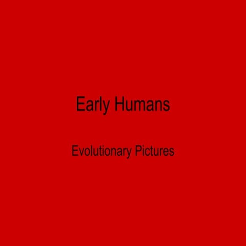 Early humans | PPT