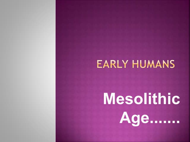 Tools Used in the Mesolithic Era | PDF