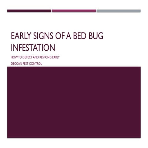 10 EARLY SIGNS OF A BED BUG INFESTATION YOU SHOULDN’T IGNORE | PPTX