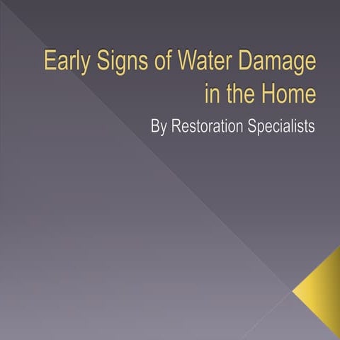 Signs of Water Damage and How To Identify Them.pdf