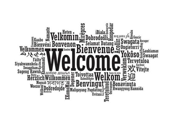 EARLY WARNING SYSTEM(EWS) | PPT