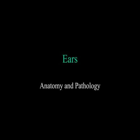 Ears, anatomy and otoscopic pathology, pictures and diagrams.ppt