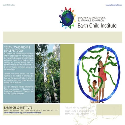 Earth Child Institute | PDF