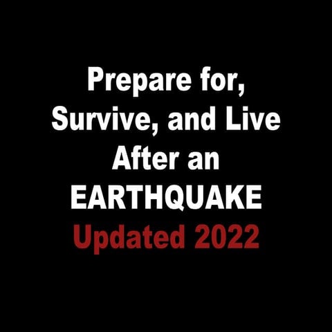Earthquake Preparedness Infographic | PPTX
