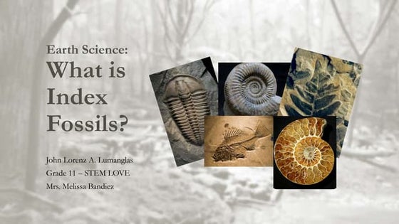 Fossils | PPT