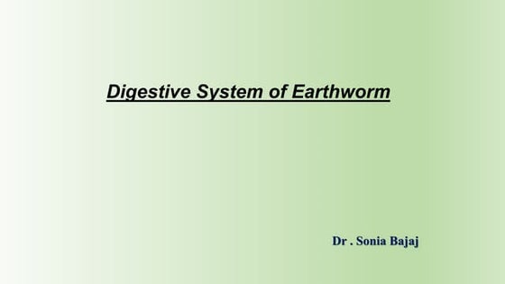 Prawn digestive system,parts of Alimentary canal,structure of hastate ...