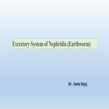 Excretory system of earthworm , Three types of nephridia, structure of ...