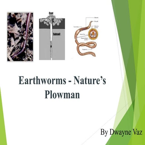 Earthworm | PPT