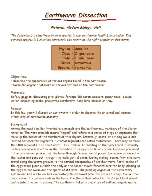 Frog Dissection | PPT | Biological Sciences | Science