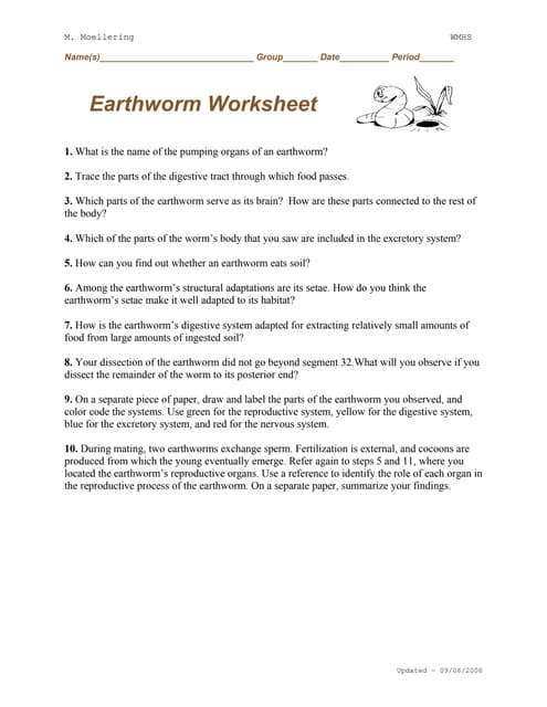 Earthworm dissection lab report | DOCX | Surgery | Medical Health