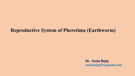 Indian Earthworm (Pheretima posthuma)ppt.pdf