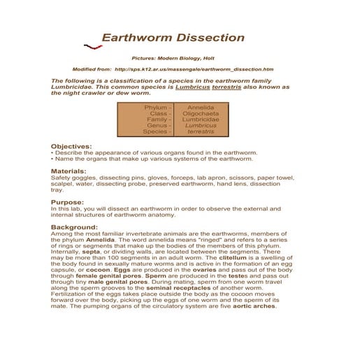 Earthworm dissection | DOCX