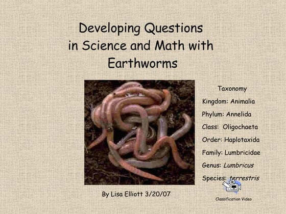 Earthworm Presentation Earthworms And Its Role In Soil