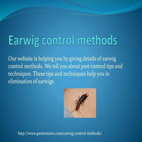 Earwig control methods | PPTX