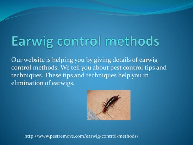 White fly control methods | PPTX