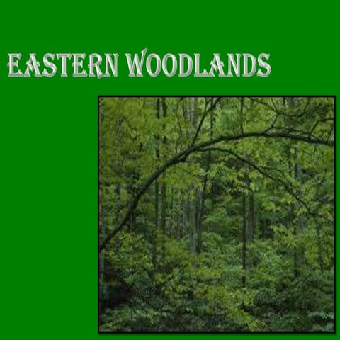 Eastern Woodlands PP | PPT