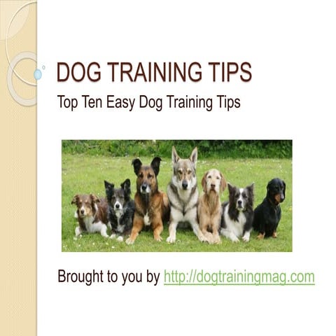 10 easy dog training tips | PPTX