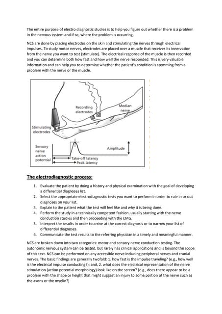 H reflex (Hoffmann's Reflex) | PPT