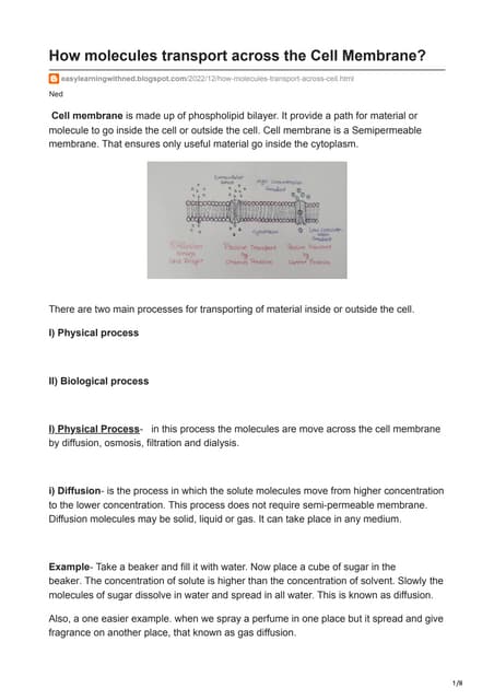 Transport across cell membrane | PPT