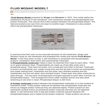 easylearningwithned.blogspot.com-FLUID MOSAIC MODEL.pdf