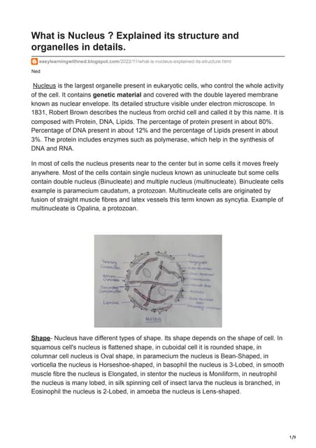 Nucleus | PPTX | Biological Sciences | Science