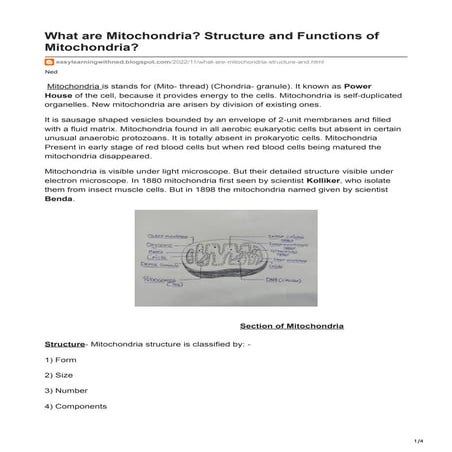 easylearningwithned.blogspot.com-What are Mitochondria Structure and ...