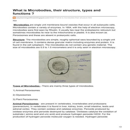 easylearningwithned.blogspot.com-What is Microbodies their structure ...