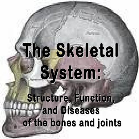 Anatomy of skeletal system | PPTX