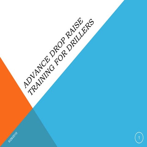 PRESENTATION BY HANS HAMMAN-DROP RAISE | PPT