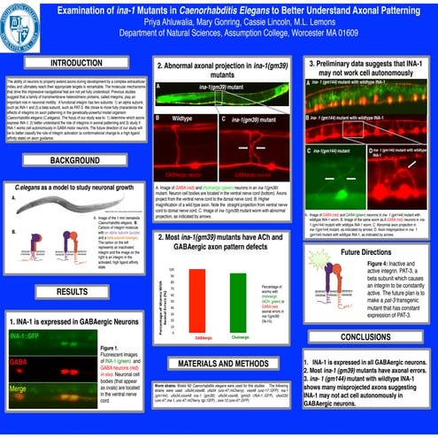 Symposium 2015 FINAL | PDF