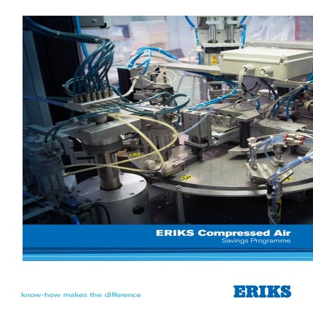 ERIKS Compressed Air Savings Program | PDF