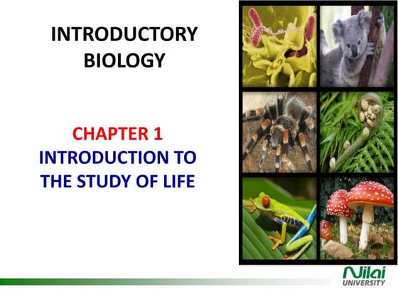 Unifying Themes in the Study of Life | PPT