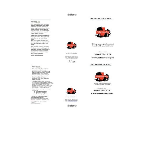 PSP Brochure | PDF