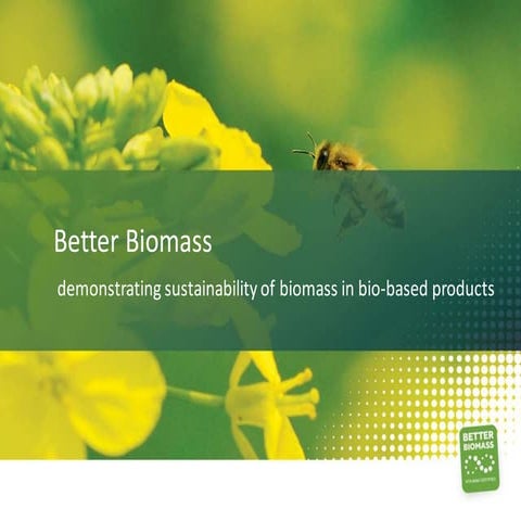 20151027 Better Biomass workshop Brussels | PDF