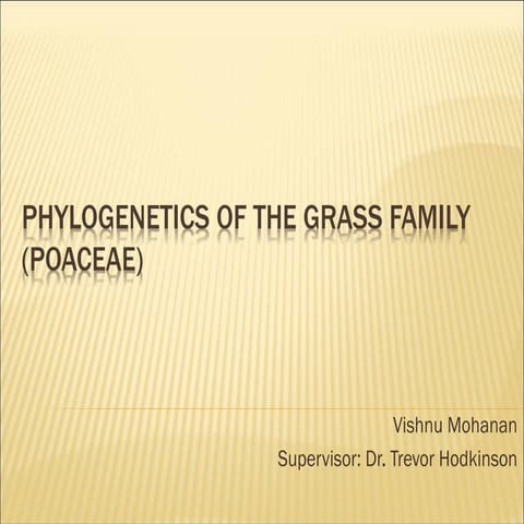 Phylogenetics of the grass family (poaceae) | PDF