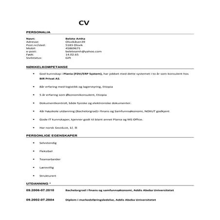 Belete Amha CV (3) | PDF